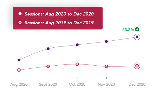 Pest Control Digital Marketing Services | NiftyPest