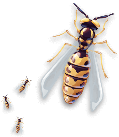 Contact Us | NiftyPest