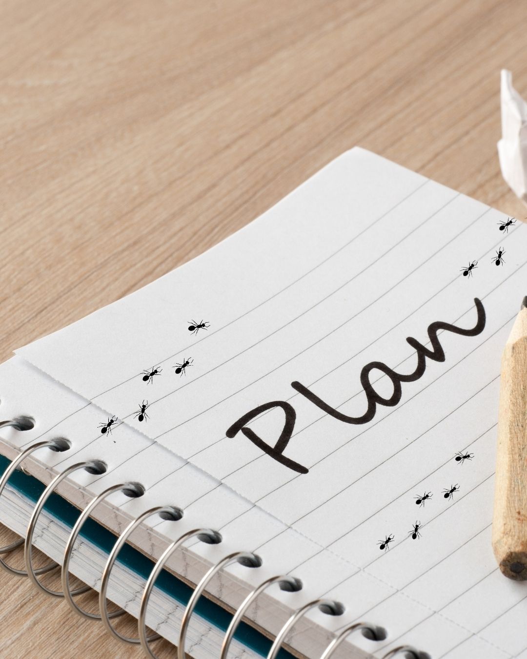 Pest Control Social Media Posts: A Full-Year Calendar - Nifty Pest