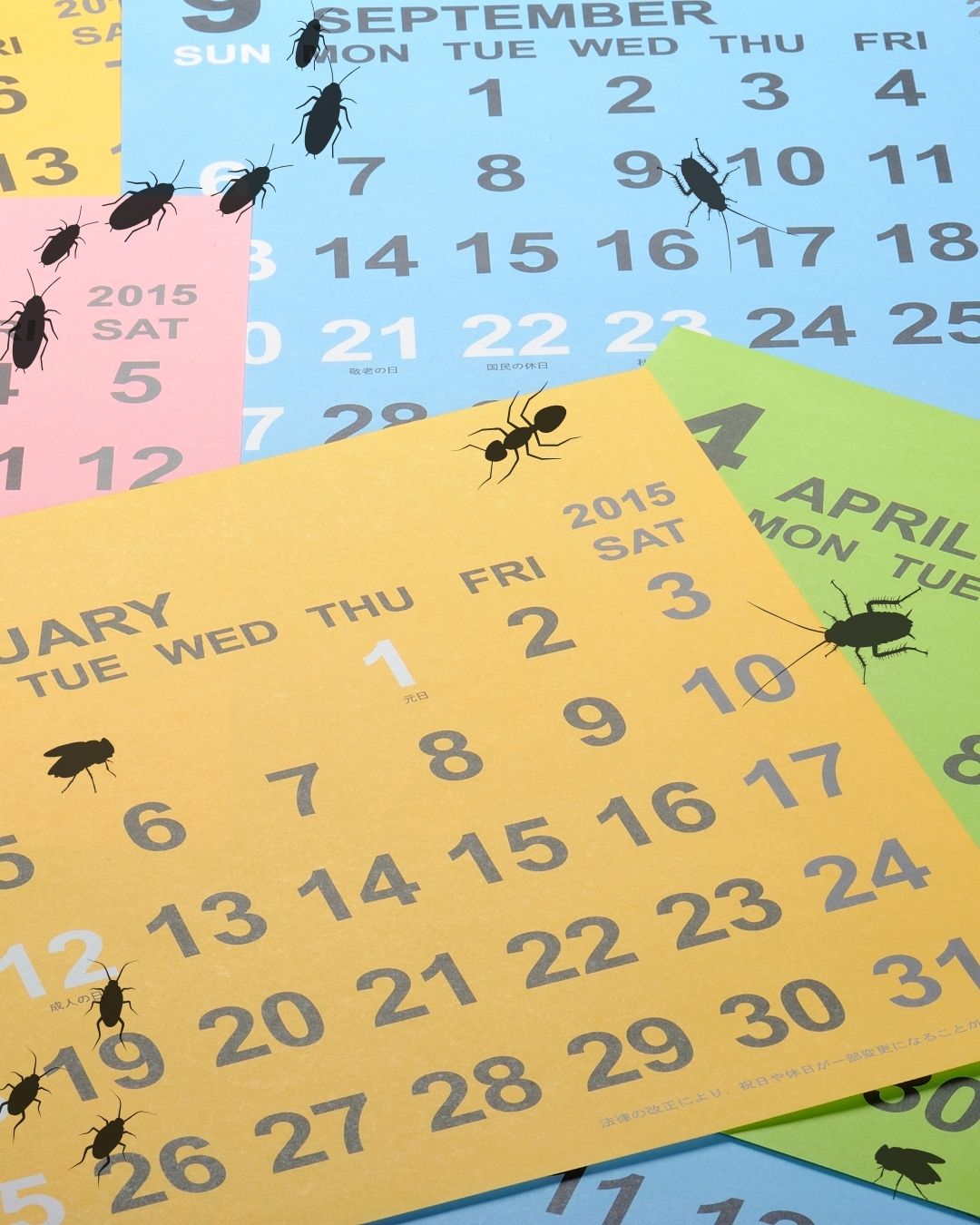 Pest Control Social Media Posts: A Full-Year Calendar - Nifty Pest